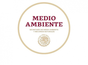 0767 CFE: Gasoducto Samalayuca – Sásabe – Proyectos México
